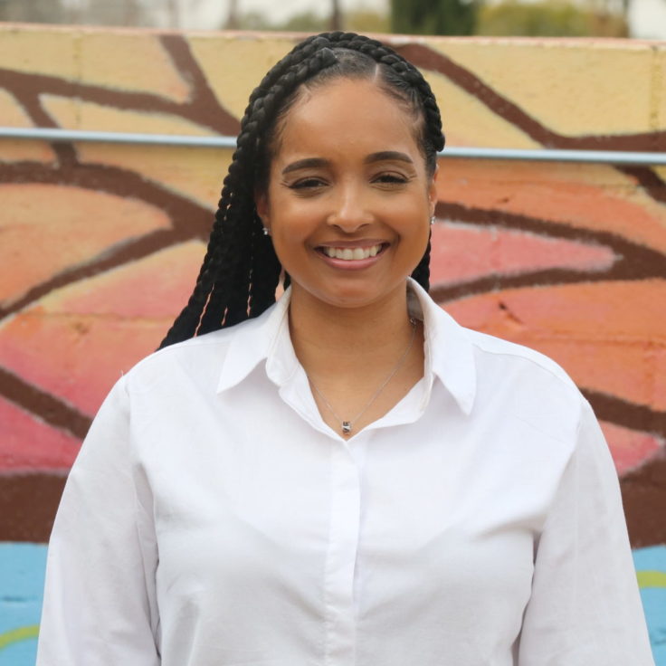 Social Justice Learning Institute